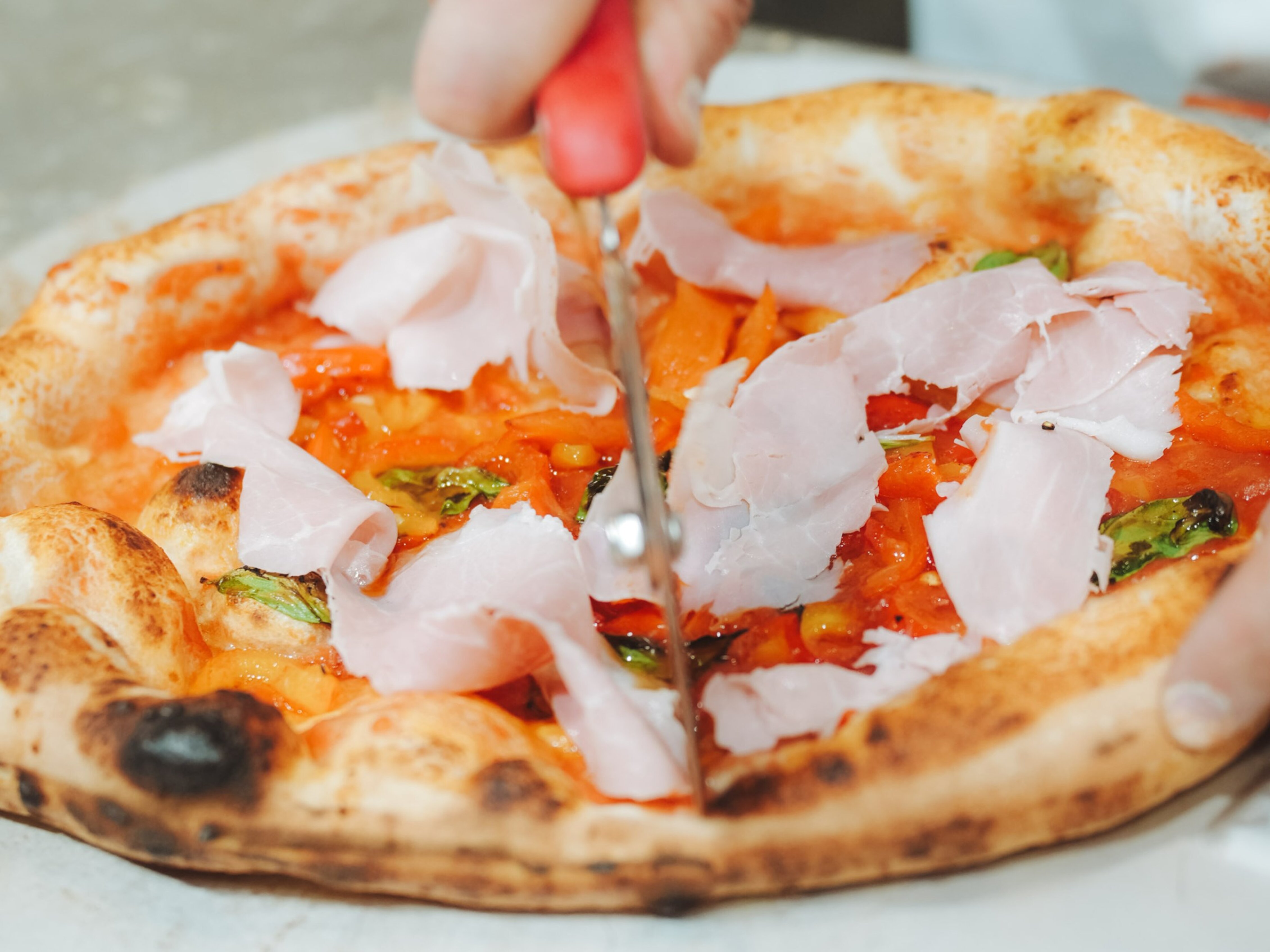 SIGEP WORLD | Discover the 2026 edition